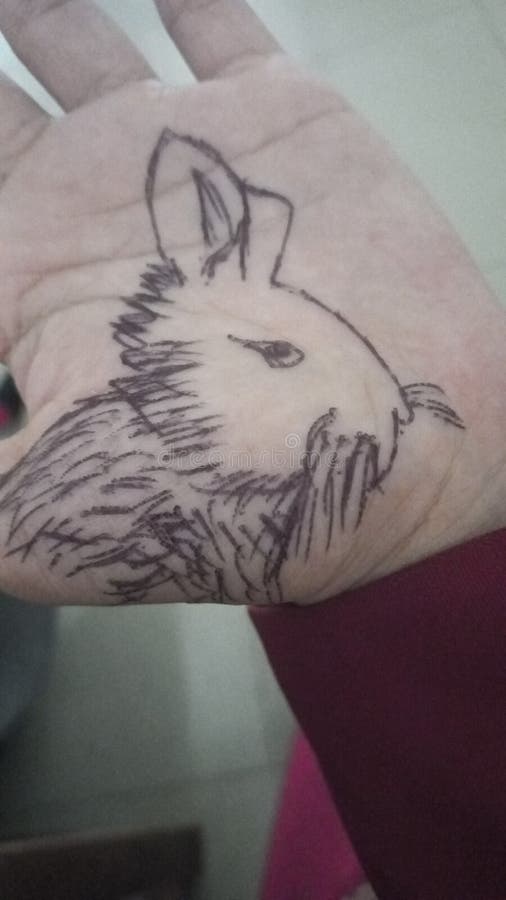 Old rabbit in hand stock image. Image of limb, tattoo - 262968253