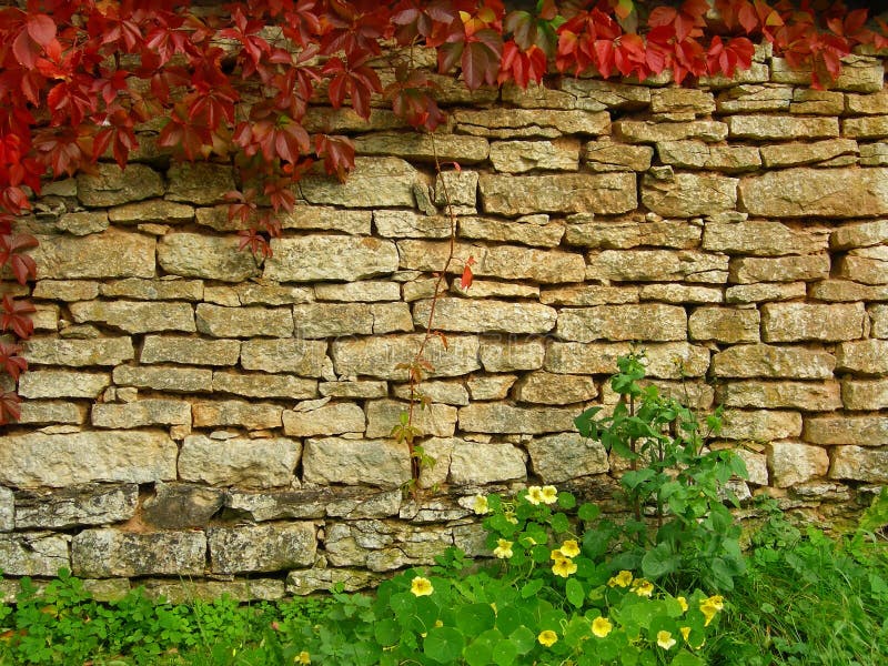 Old, Ragged Brick Wall Texture with Fall Greenery Stock Photo - Image ...