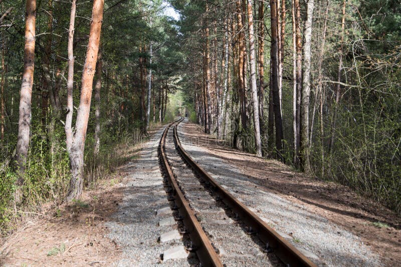 Old Rail Road in Green Forest Summer Stock Photo - Image of perspective ...