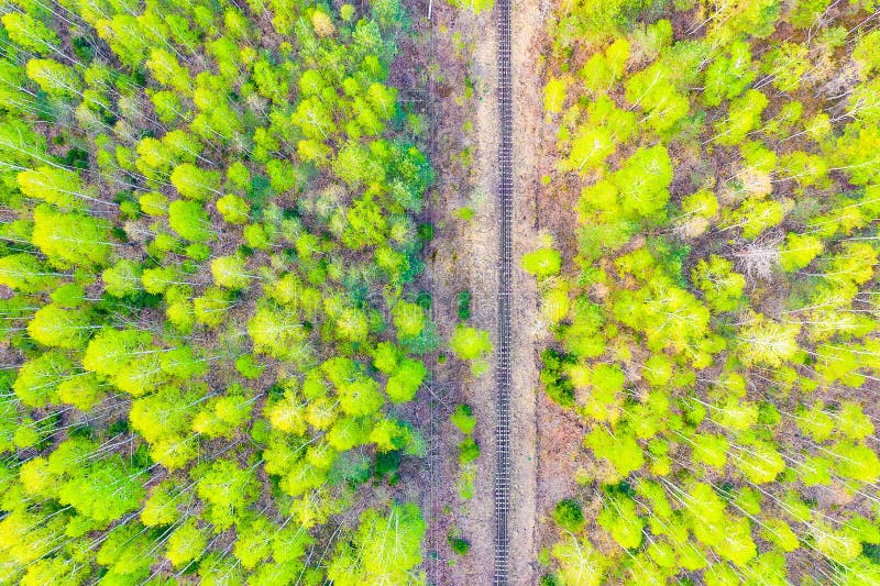 1,362 Running Along Water Forest Stock Photos - Free & Royalty-Free ...