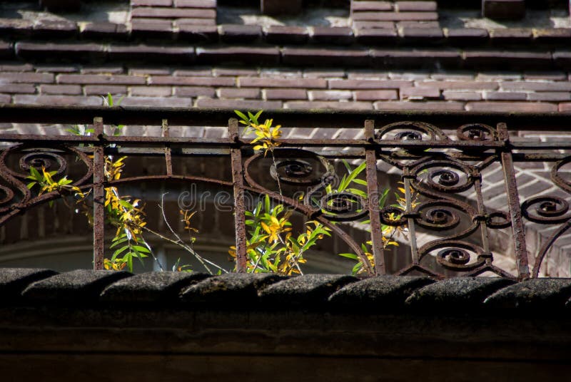 Old railing stock image. Image of abandoned, deteriorate - 332078809