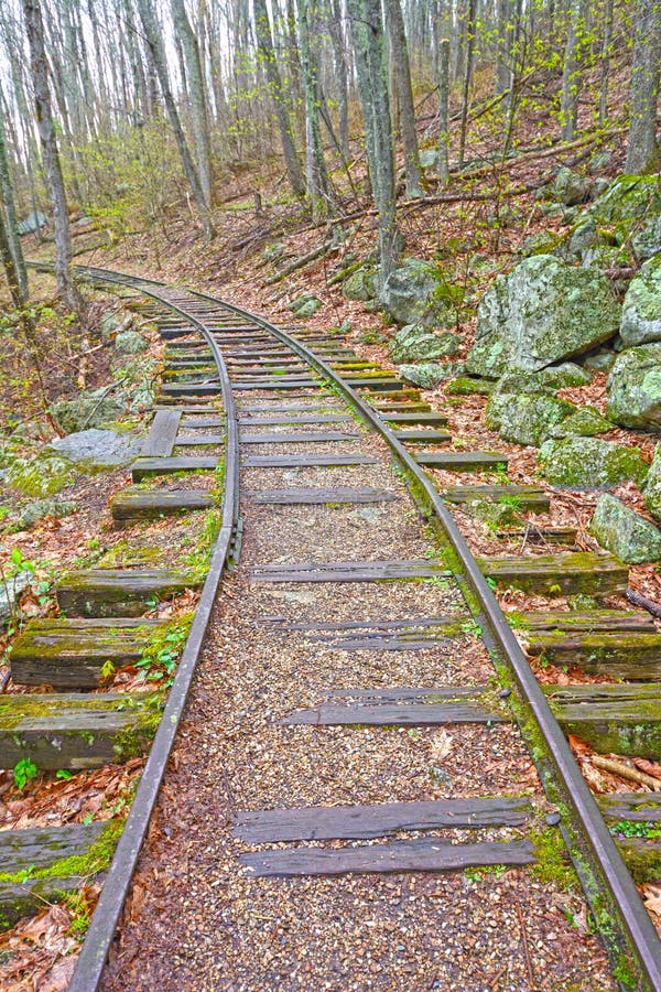 Old Railroad in the Forest stock photo. Image of railroad - 59226444