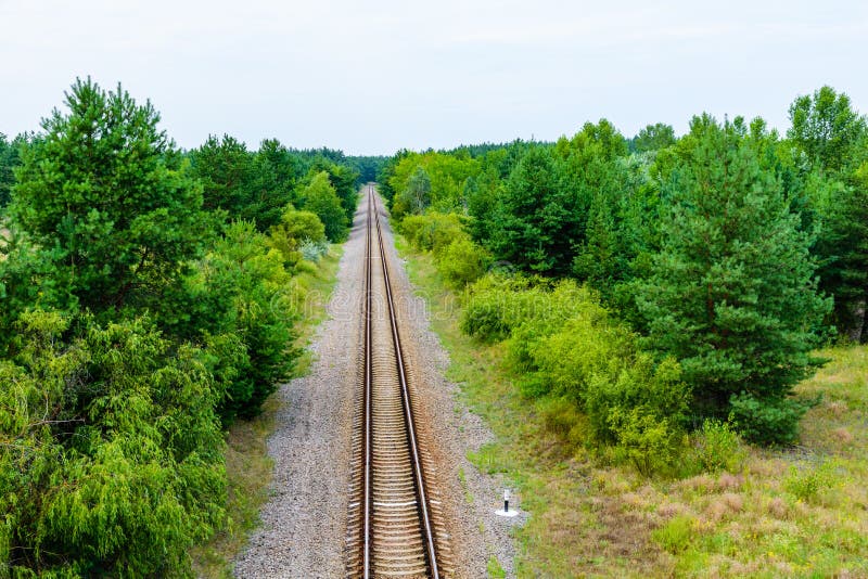 Old Railroad in Forest on Summer Stock Image - Image of industry, color ...