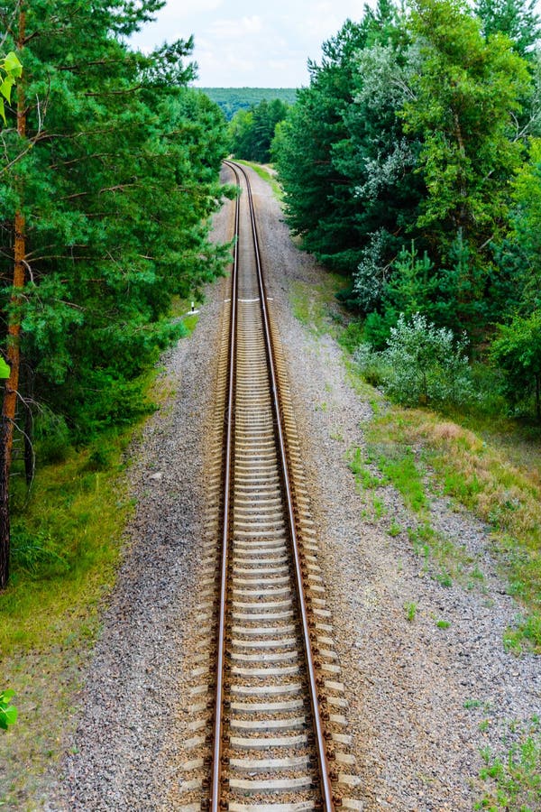 Old Railroad in Forest on Summer Stock Image - Image of perspective ...