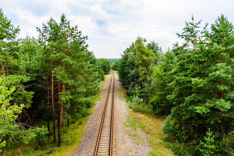 Old Railroad in Forest on Summer Stock Image - Image of direction ...