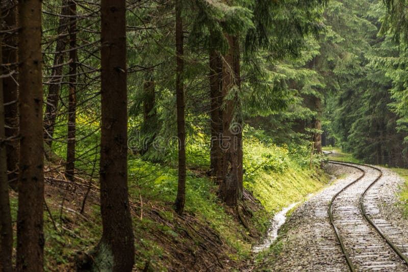 Railroad through forest stock image. Image of outdoor - 107056375