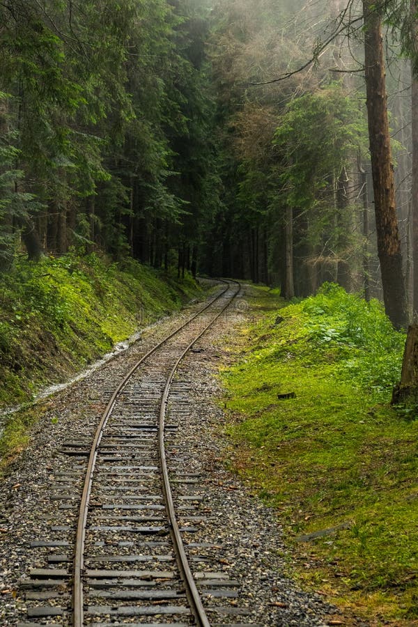 Railroad through forest stock image. Image of beautiful - 107056375