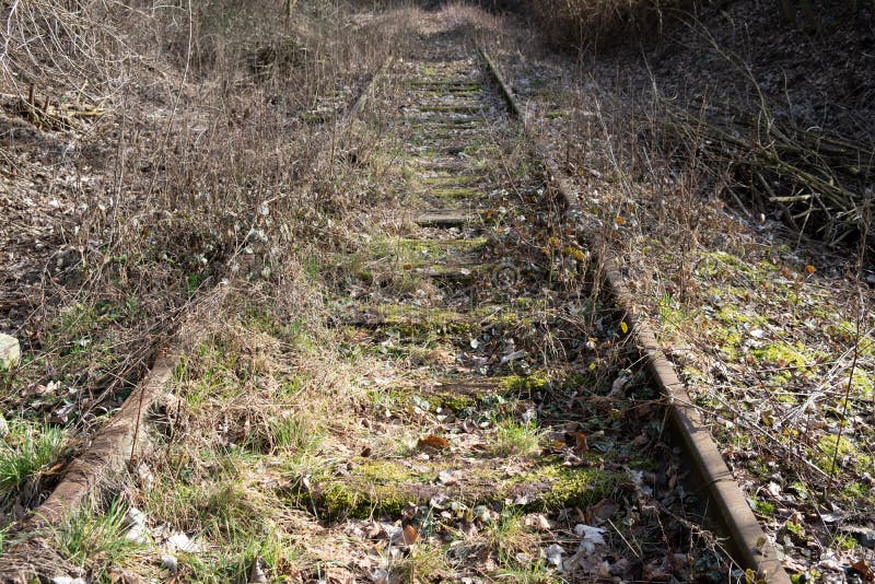 Old railroad stock photo. Image of history, rail, overgrown - 148829904
