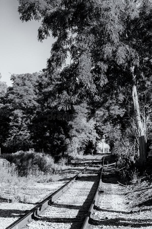 Railroad track stock photo. Image of woods, stones, berm - 189998