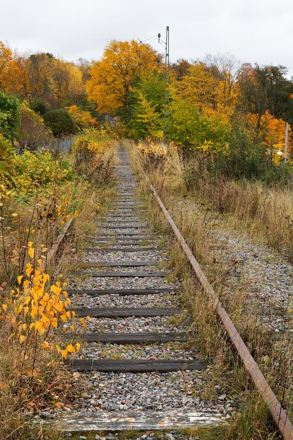 Old railroad tracks. stock image. Image of overgrown - 27462865