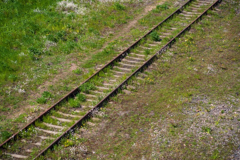 Old Railroad Tracks in the Nature Stock Photo - Image of environment ...