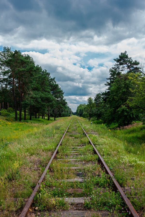 Old railroad tracks stock image. Image of transportation - 74591455