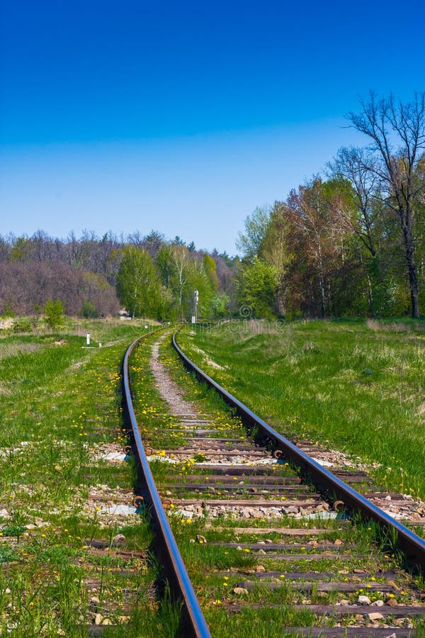 Old railroad tracks stock image. Image of perspective - 74592241