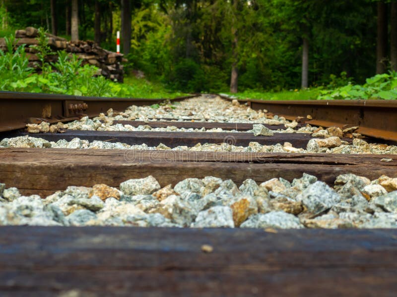 Old rails in the forest. stock image. Image of travel - 213818415
