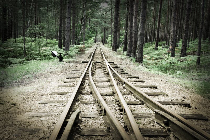 Old Rails in the Middle of the Forest Stock Photo - Image of track ...