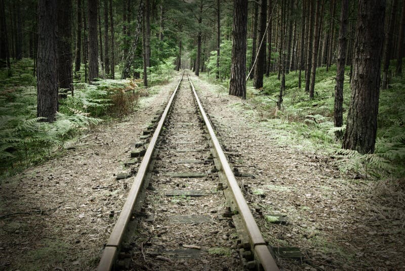 Old Rails in the Middle of the Forest Stock Image - Image of light ...