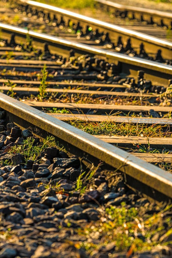 Old Rails in Soft Autumnal Morning Sun Stock Photo - Image of outdoor ...