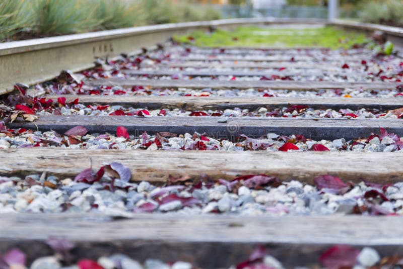 Old rails in yard stock photo. Image of steel, land, station - 38336792