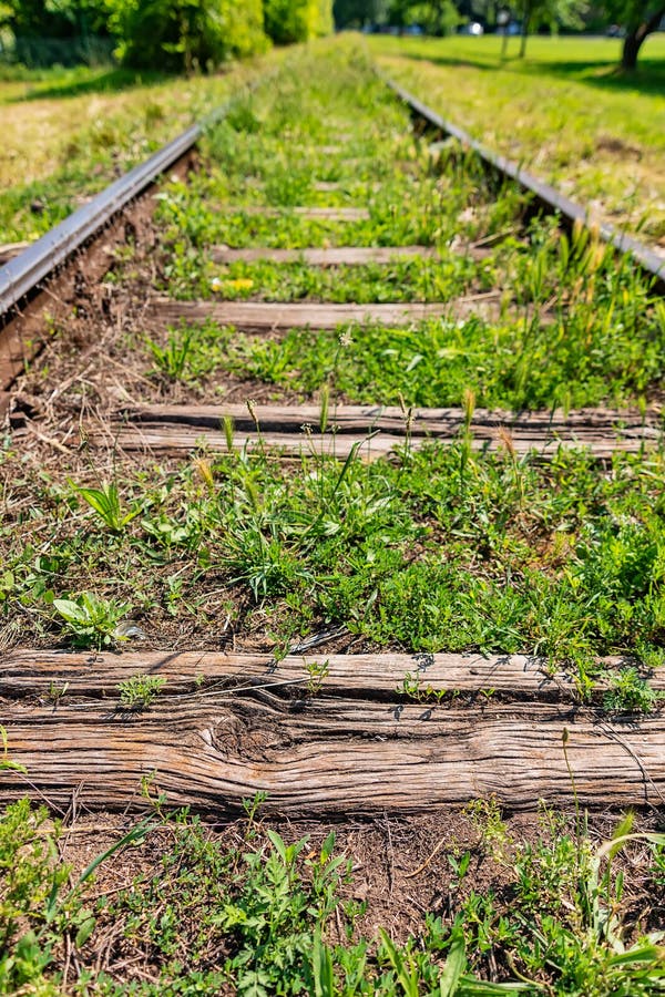 Old Railway Line Covered with Grass Stock Photo - Image of backgrounds ...
