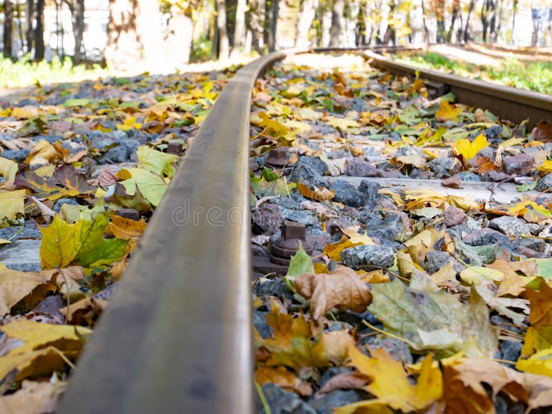 Old Railway Rails in Autumn Foliage Stock Image - Image of journey ...