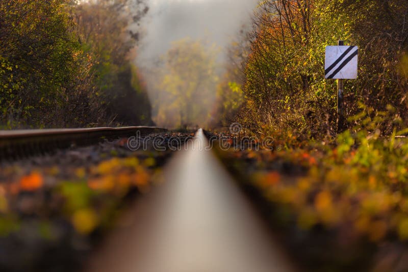 Old Railway Track in a Forest between Fall Foliage with a Mist Stock ...