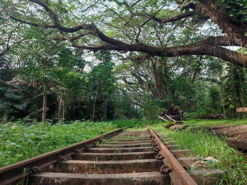 344 Kerala Railway Stock Photos - Free & Royalty-Free Stock Photos from ...