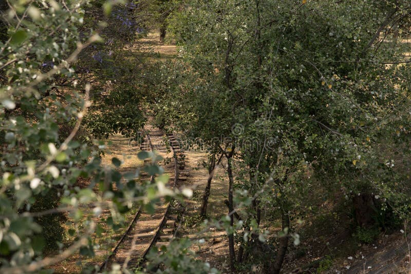 Old Railway Track in the Middle of the Forest Stock Photo - Image of ...