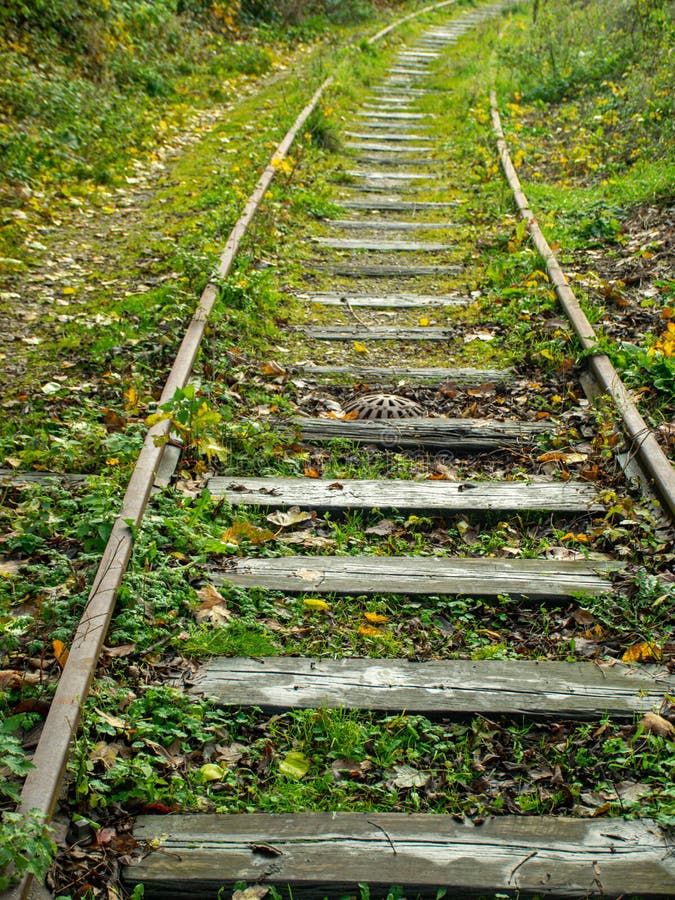 Old Railway Tracks, Grass on the Tracks Stock Photo - Image of ...