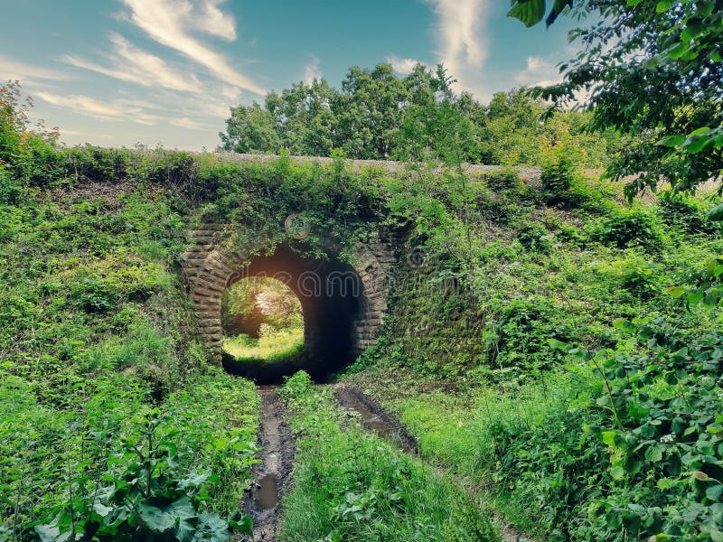 Old Railway Tunnel Under the Railway, Overgrown with Grass and Moss ...