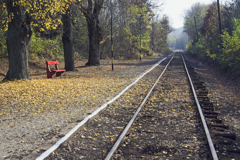 Old Railways in Autumn at a Small Train Stop Stock Image - Image of ...