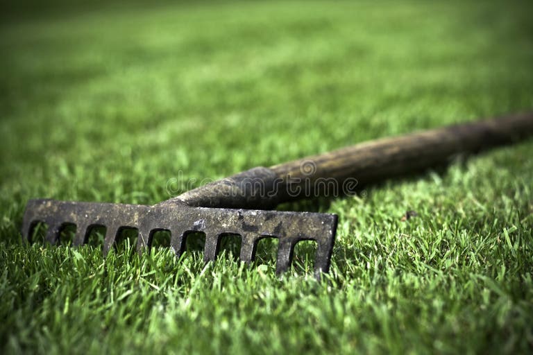 Old rake on the garden stock photo. Image of garden, outdoor - 7244614