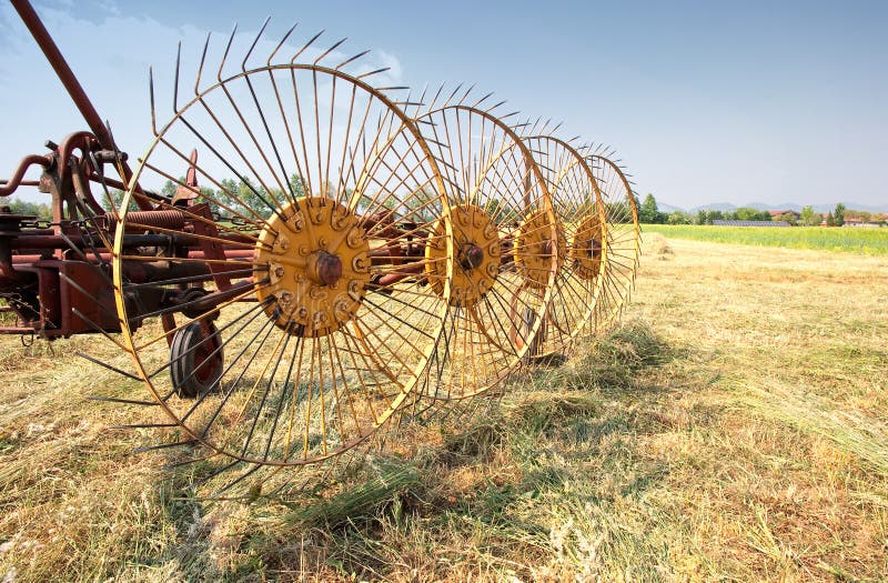 Ancient rake in a field stock photo. Image of fieldwork - 44782760
