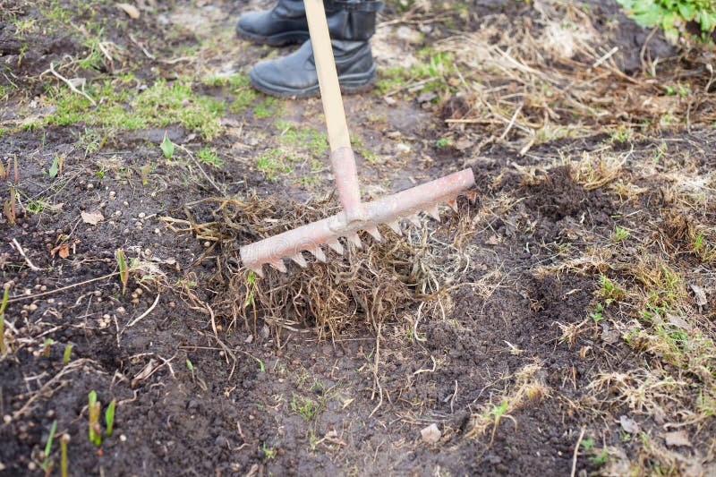 Scrape Fall Ground Stock Photos - Free & Royalty-Free Stock Photos from ...