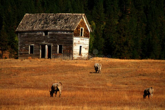 732 Old West Ranch House Stock Photos - Free & Royalty-Free Stock ...