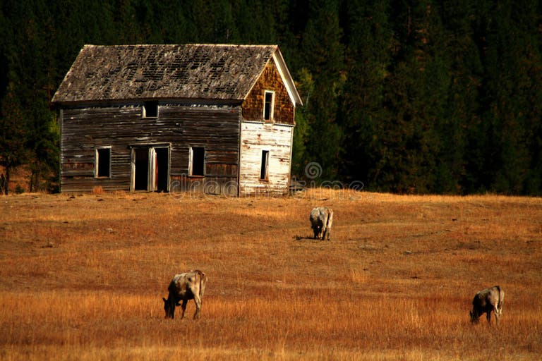 709 Old West Ranch House Stock Photos - Free & Royalty-Free Stock ...