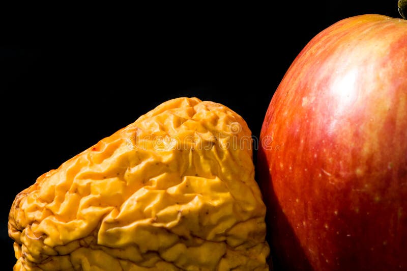 Old and apple stock image. Image of isolated, furrow, line - 7601751