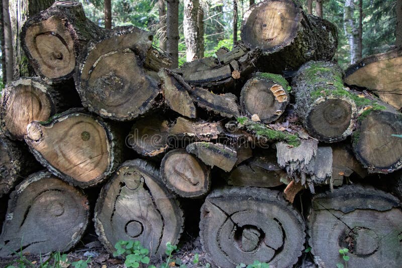 Rapil Stock Photos - Free & Royalty-Free Stock Photos from Dreamstime