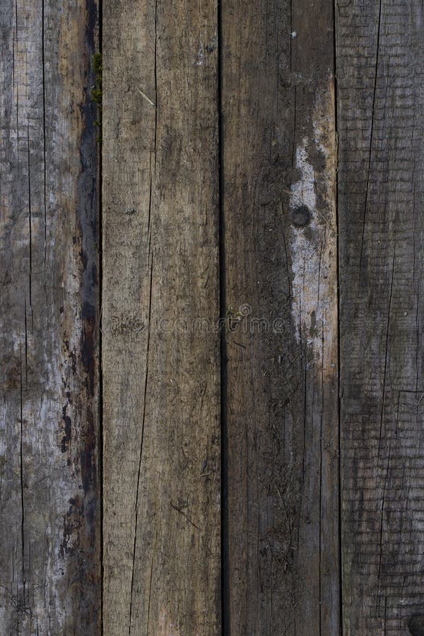Old, Raw Boards Arranged in a Row Stock Image - Image of knot, rustic ...