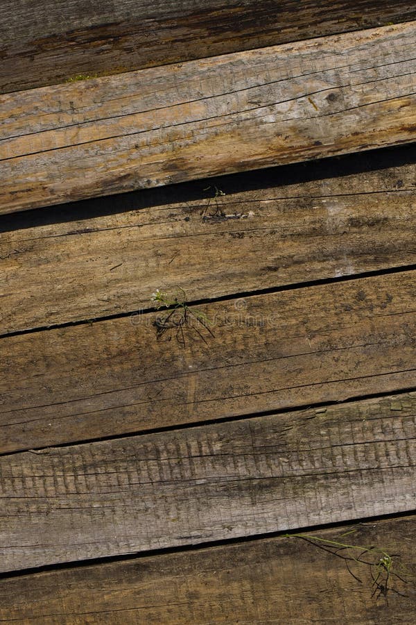Old, Raw Boards Arranged in a Row Stock Image - Image of exotic, lumber ...