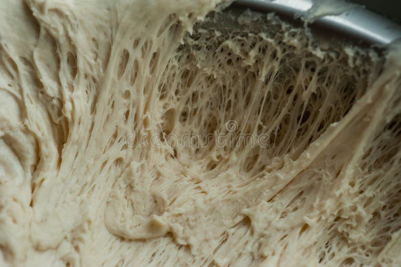 Old Recipe of Italian Dough, Fermented Structure Close-up Stock Photo ...