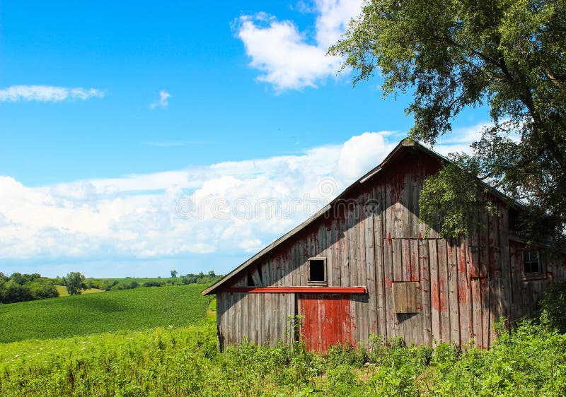 Iowa Landscape stock image. Image of green, panoramic - 44450121