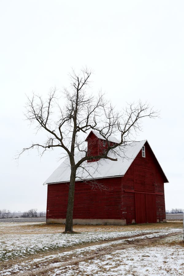 Old Red Barn and Bare Tree in Illinois Stock Photo - Image of farmer ...