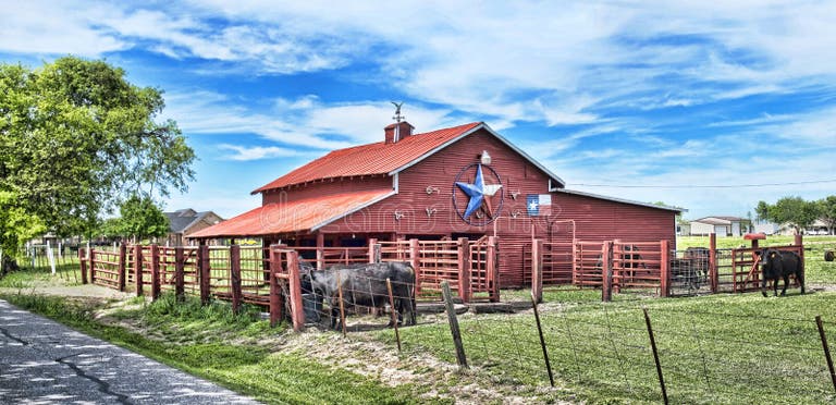 1,167 Red Farm Barn Cows Stock Photos - Free & Royalty-Free Stock ...