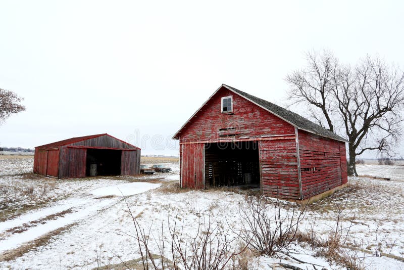Old Red Barn and Shed in Illinois Stock Image - Image of building ...