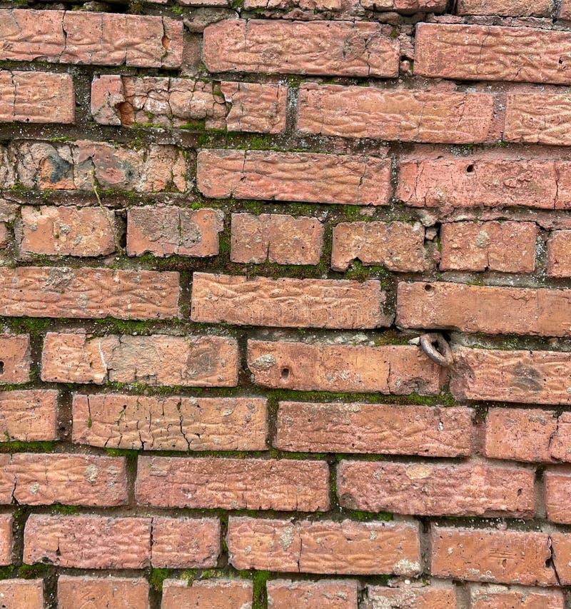 Old Red Brick Wall Covered with Moss Stock Photo - Image of wall, brick ... Old Red Brick Wall Covered with Moss Stock Photo - Image of wall, brick ...