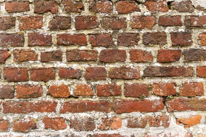 Old Red Brick Wall. Texture of a Brick Wall. Stock Photo - Image of ...
