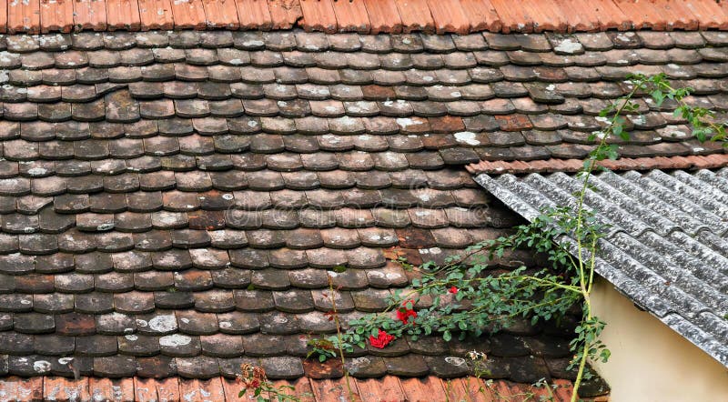 Old Red Bullnose Roof Tile Texture Stock Photo - Image of rounded ...