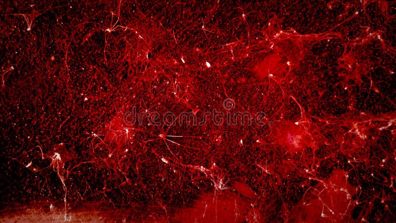 Old red cobwebs texture stock photo. Image of biohazard - 88779892