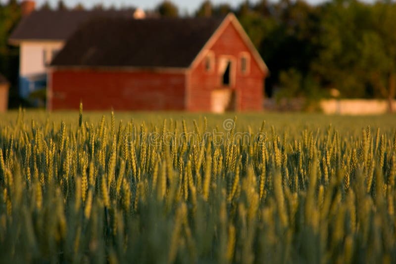 Old red country barn stock image. Image of classic, late - 2677909
