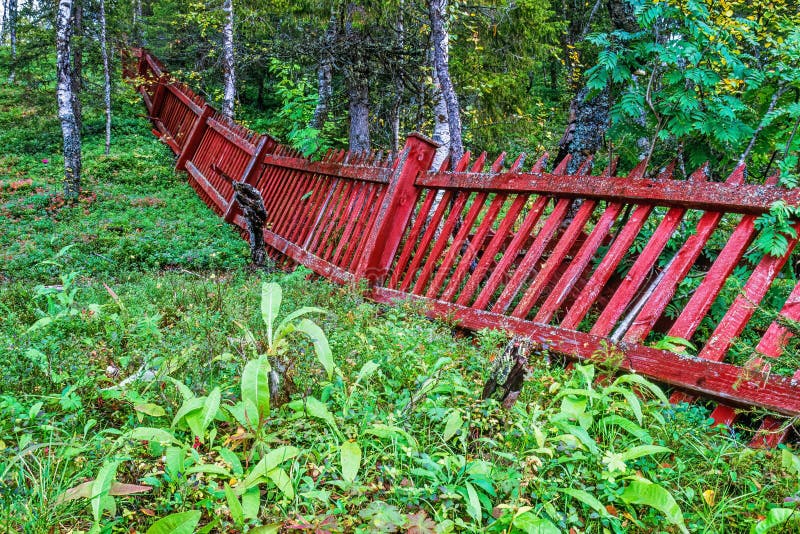 Old Red Fence at the Edge of the Forest Stock Image - Image of plant ...
